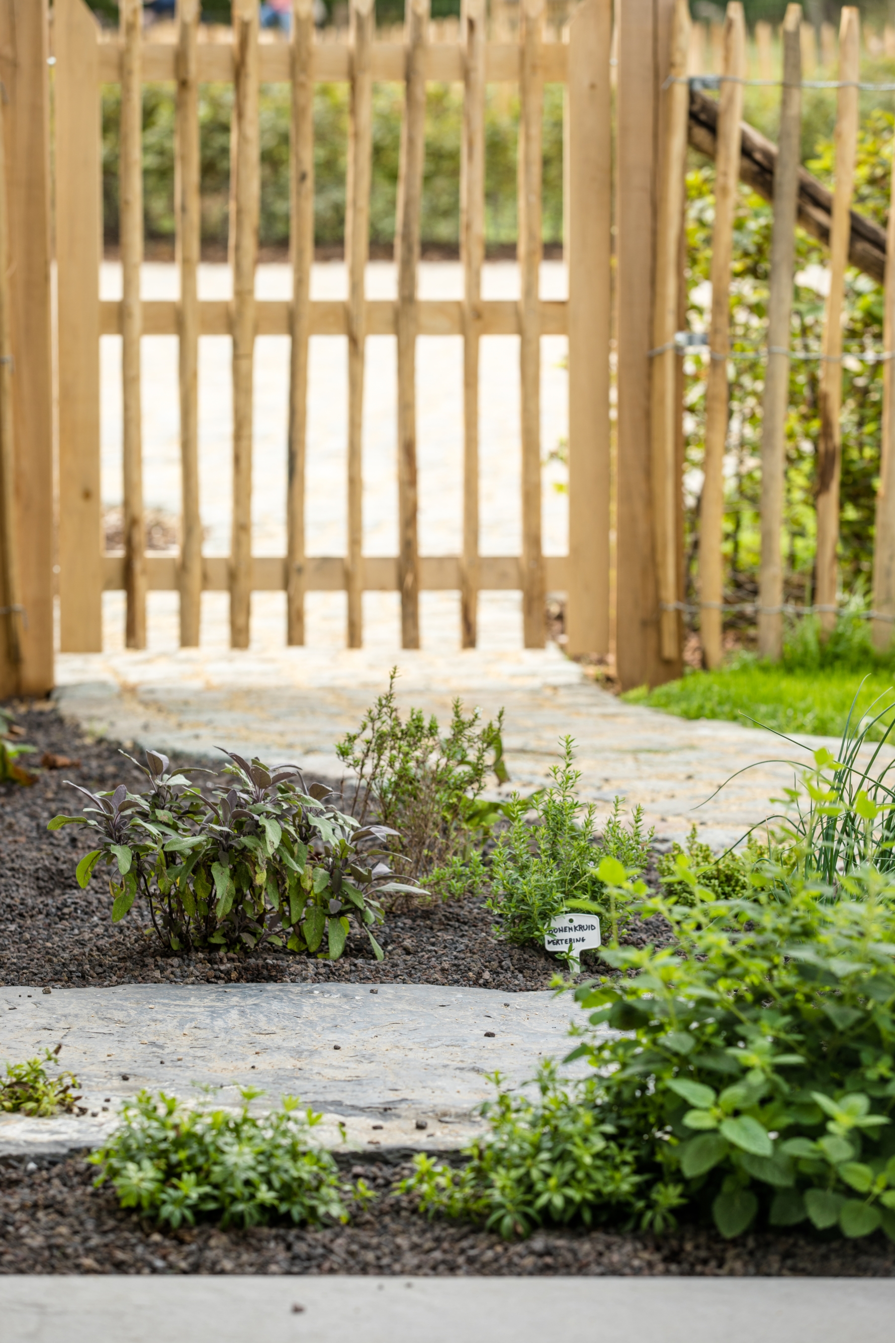 Accommodatie voor 21 personen ⭐️⭐️⭐️⭐️⭐️ | 't Zoetelande