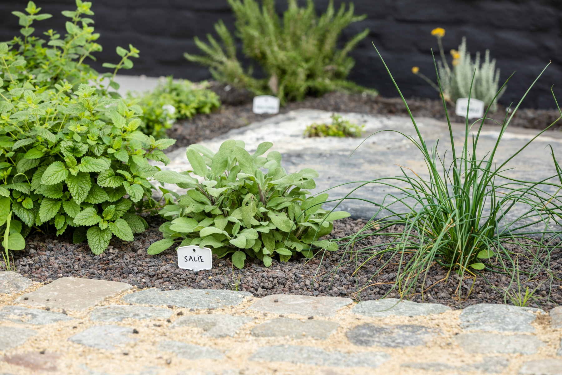 Accommodatie voor 21 personen ⭐️⭐️⭐️⭐️⭐️ | 't Zoetelande